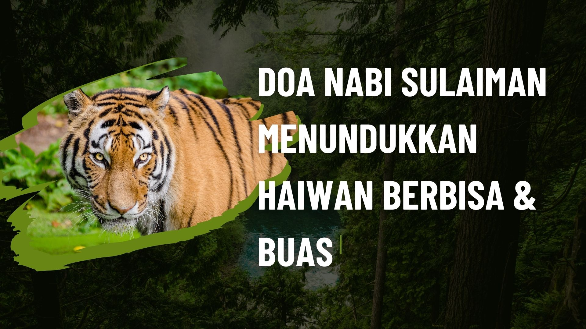 Doa Nabi Sulaiman Menundukkan Haiwan Berbisa & Buas - WaktuSolatKl.Com